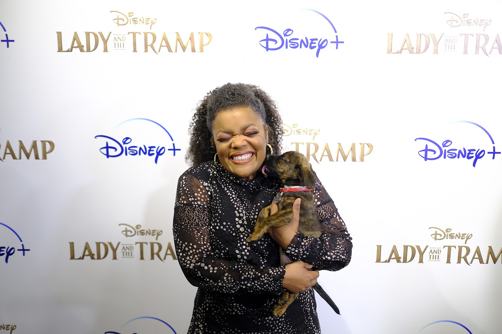 Live-Action "Lady and the Tramp" Screens in New York Ahead of Disney+ ...