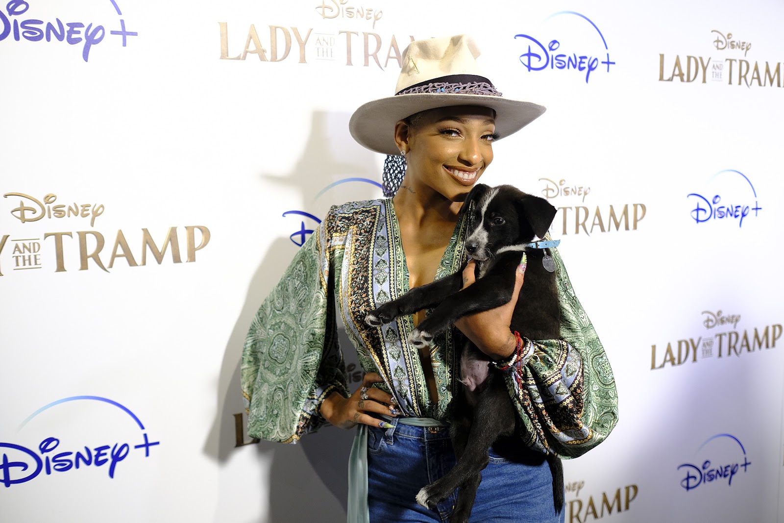 Live-Action "Lady and the Tramp" Screens in New York Ahead of Disney+ ...