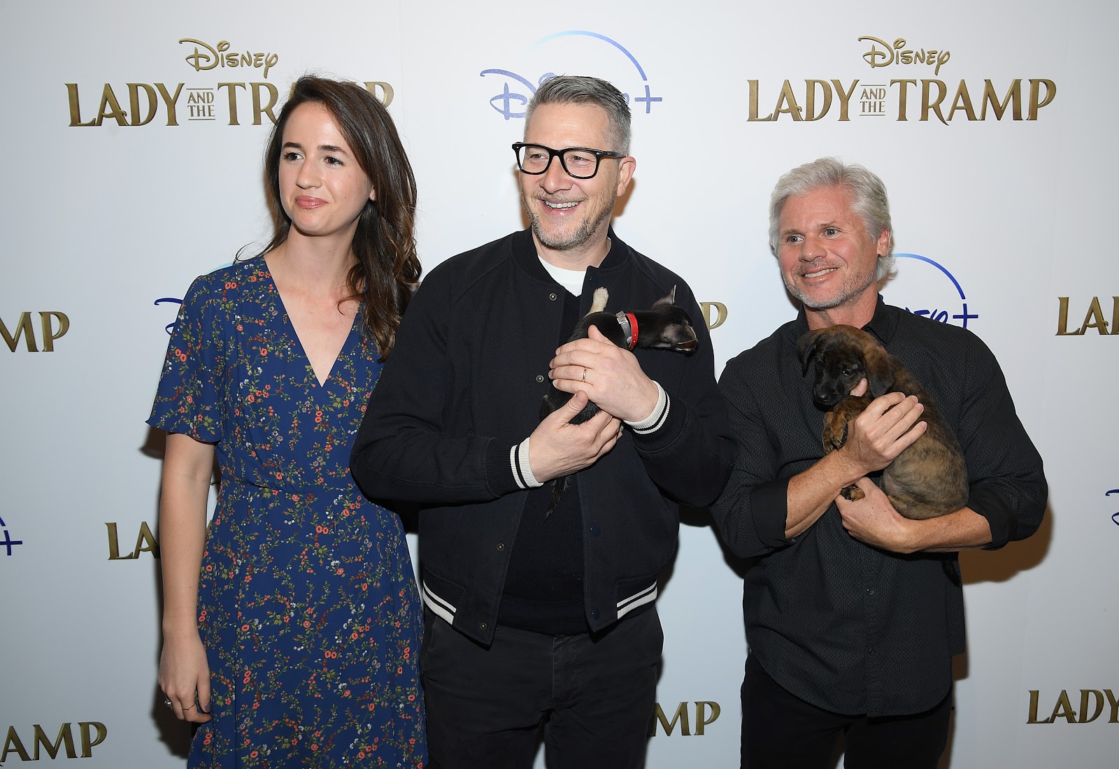 Live-Action "Lady and the Tramp" Screens in New York Ahead of Disney+ ...