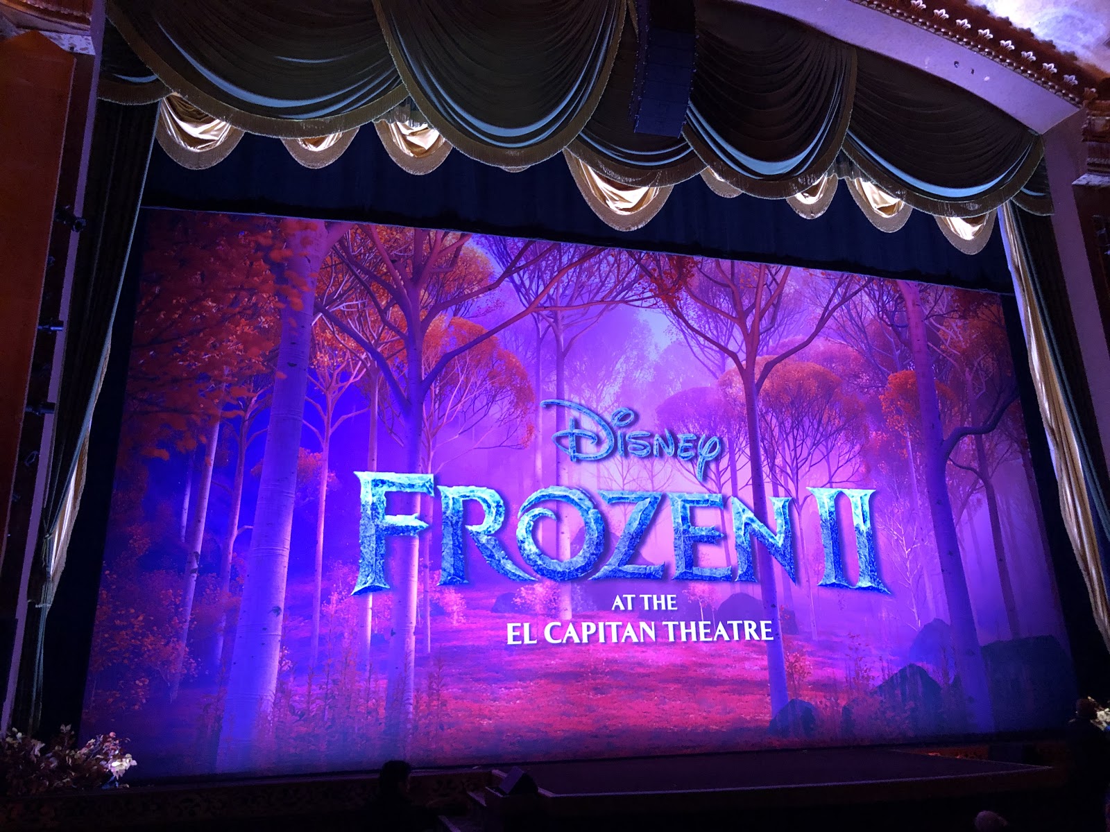 Video: Disney's "Frozen 2" Opens at El Capitan Theatre with Anna and ...