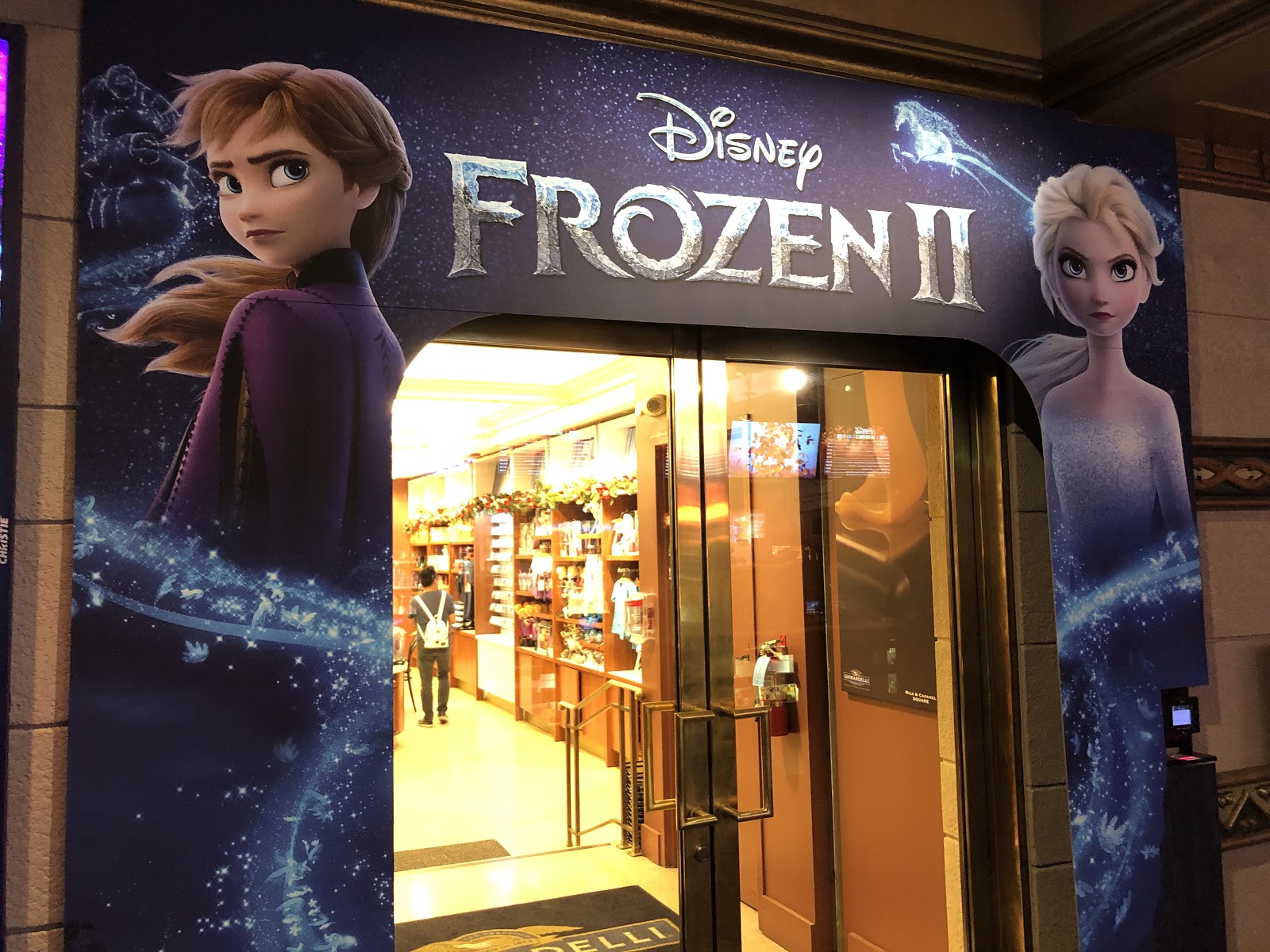 Video: Disney's "Frozen 2" Opens at El Capitan Theatre with Anna and ...