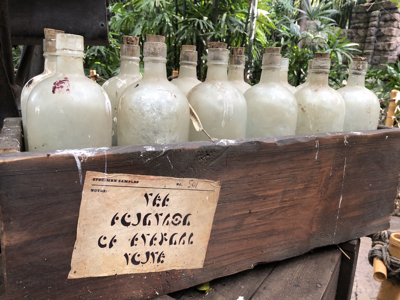 Experience Review: "Indiana Jones Adventure - The Gifts of Mara" at ...