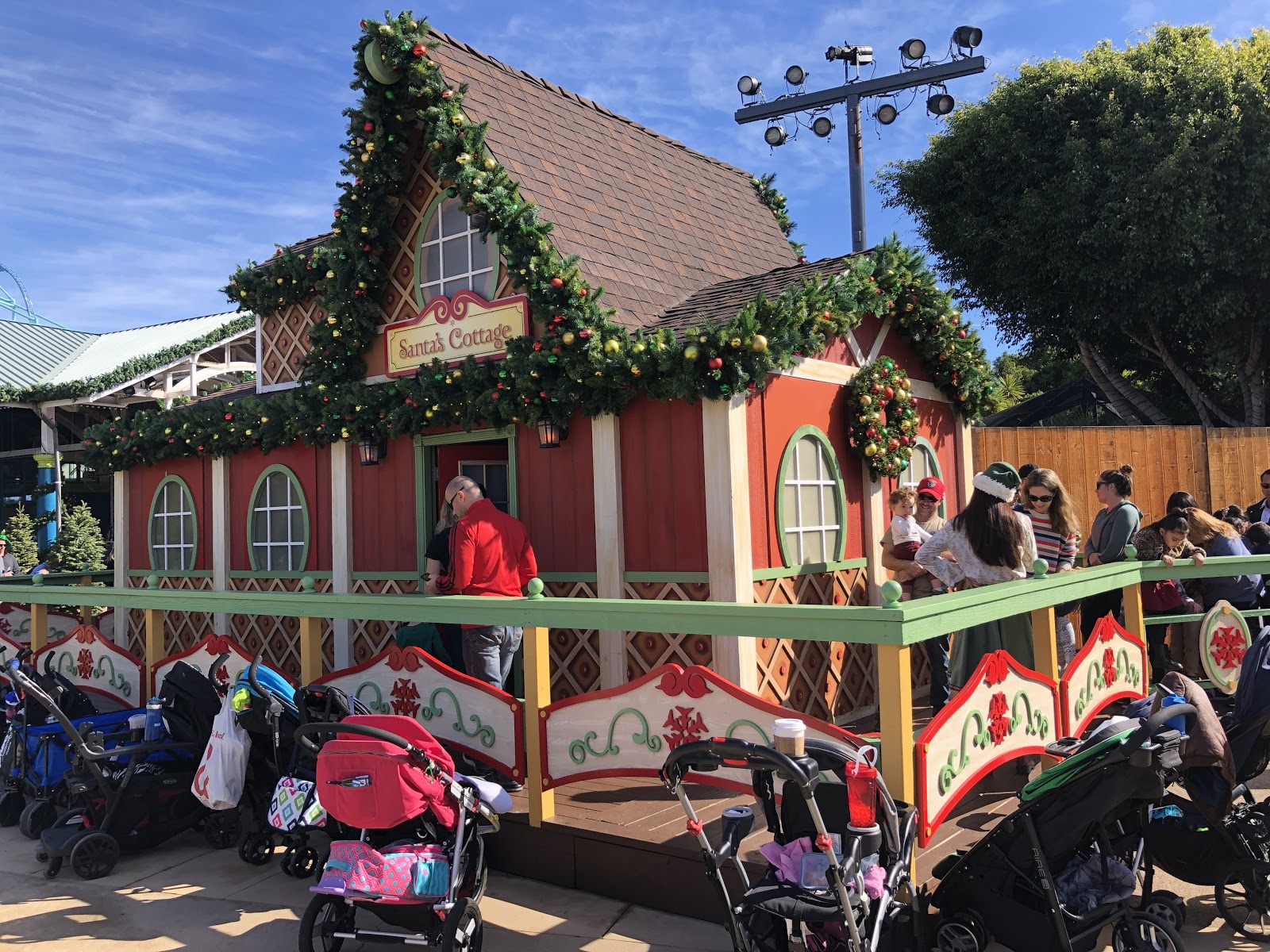 Video/Photos: SeaWorld San Diego Celebrates its 2019 Christmas ...