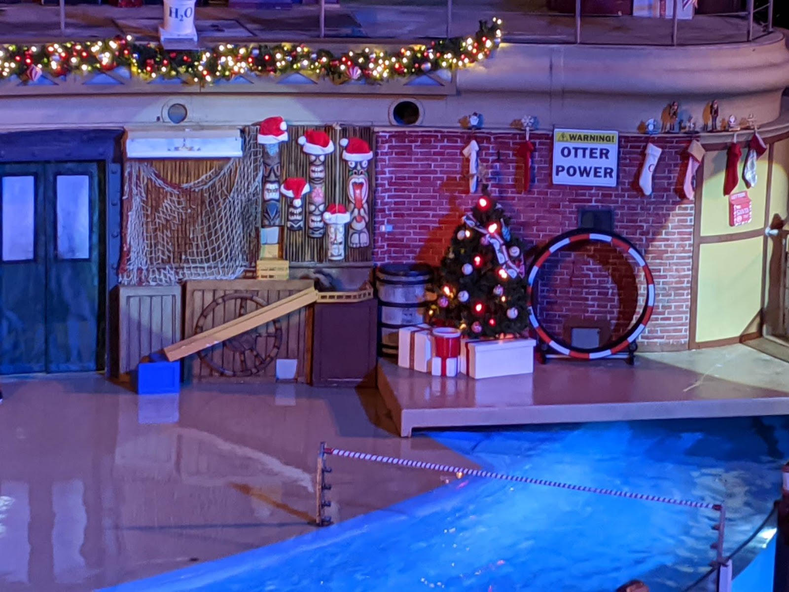 Video/Photos: SeaWorld San Diego Celebrates its 2019 Christmas ...