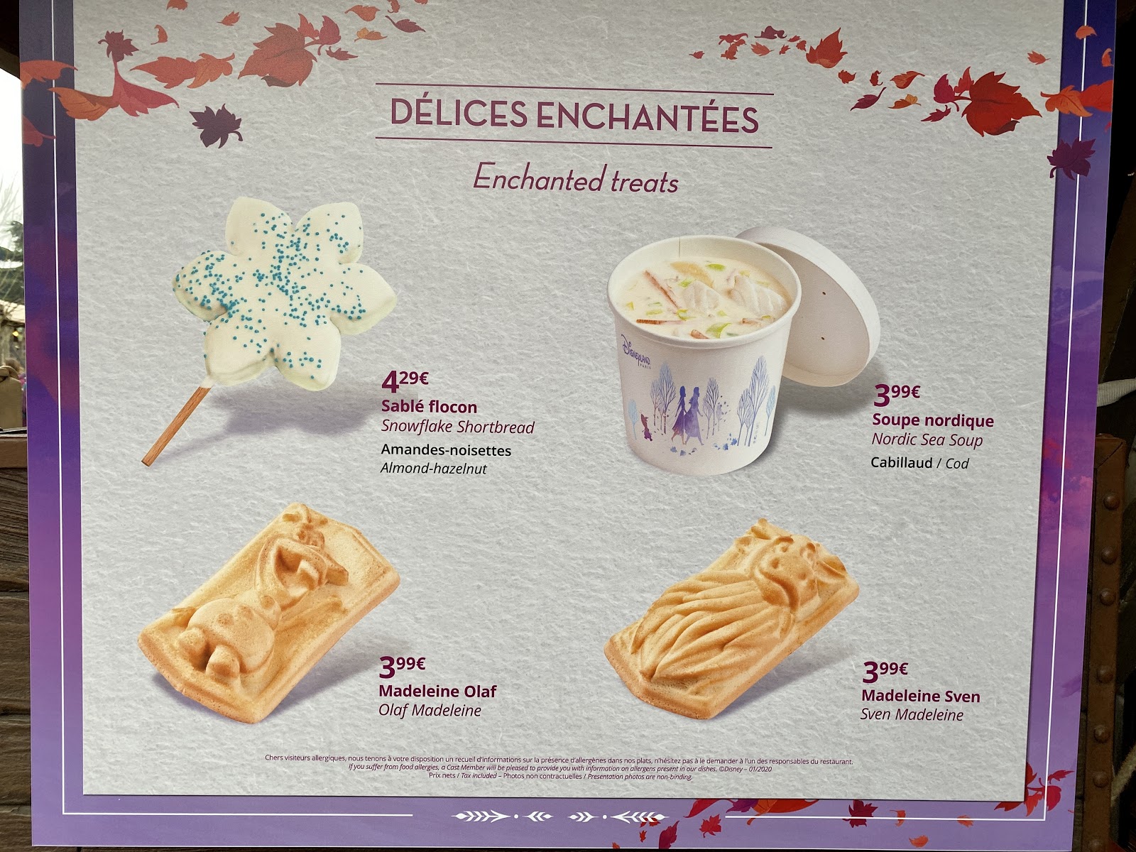 A Frozen Celebration Comes to Disneyland Paris