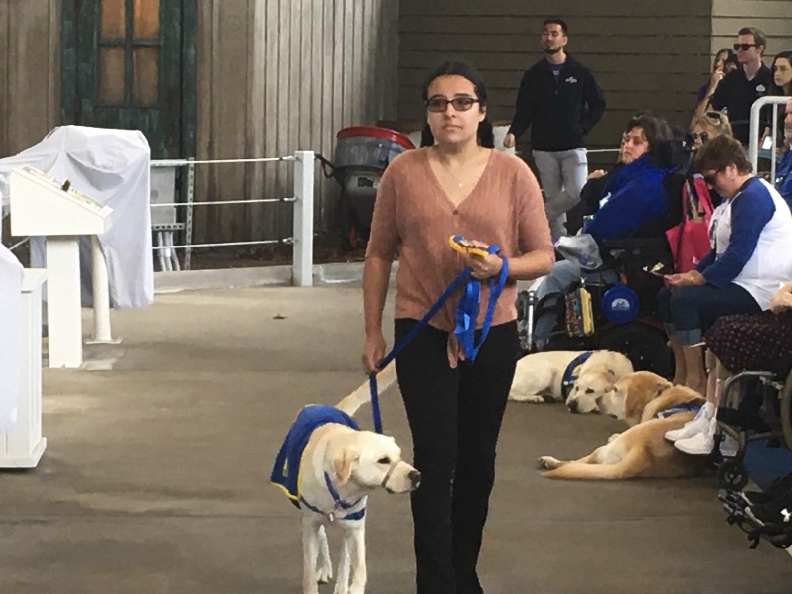 Universal Orlando Hosts Canine Companions for Independence Graduation ...