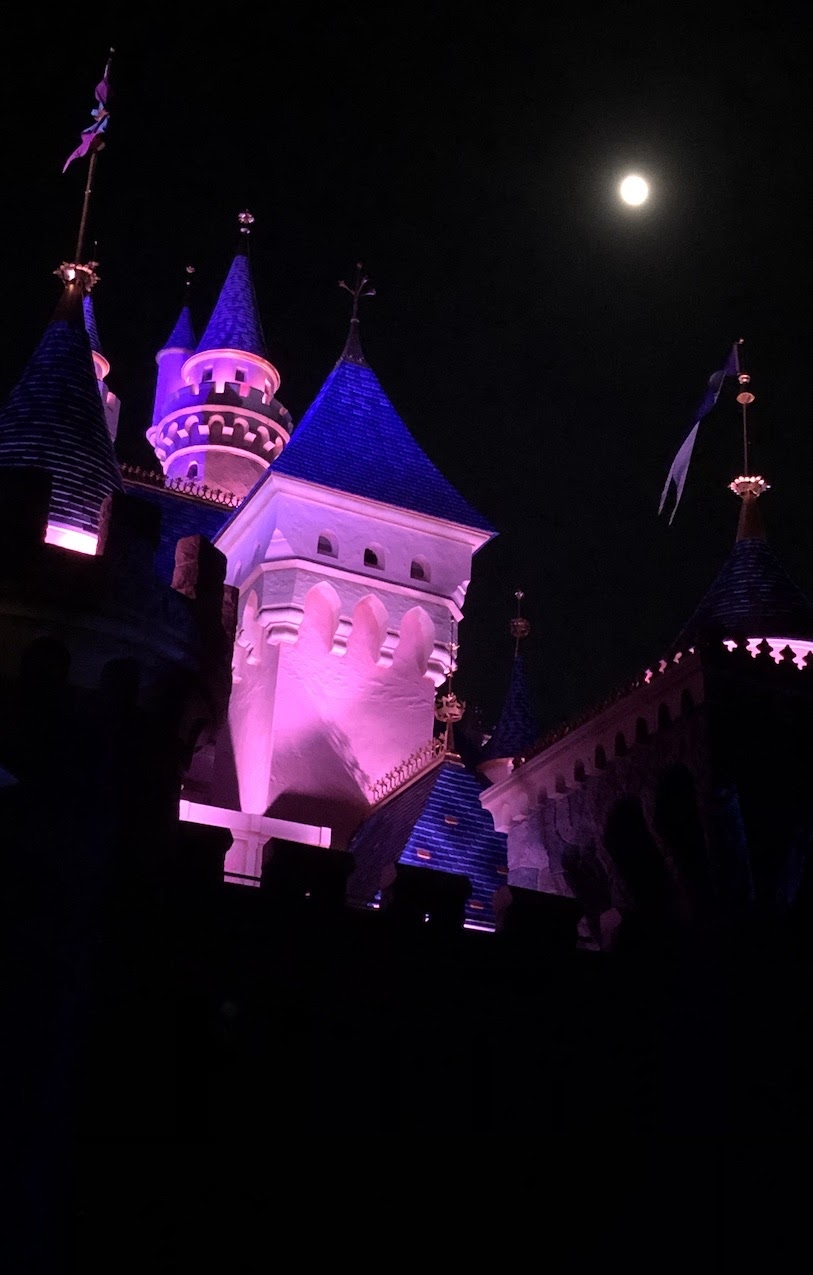 Add Some Disney Parks Fun to Your Conference Calls with These Zoom ...