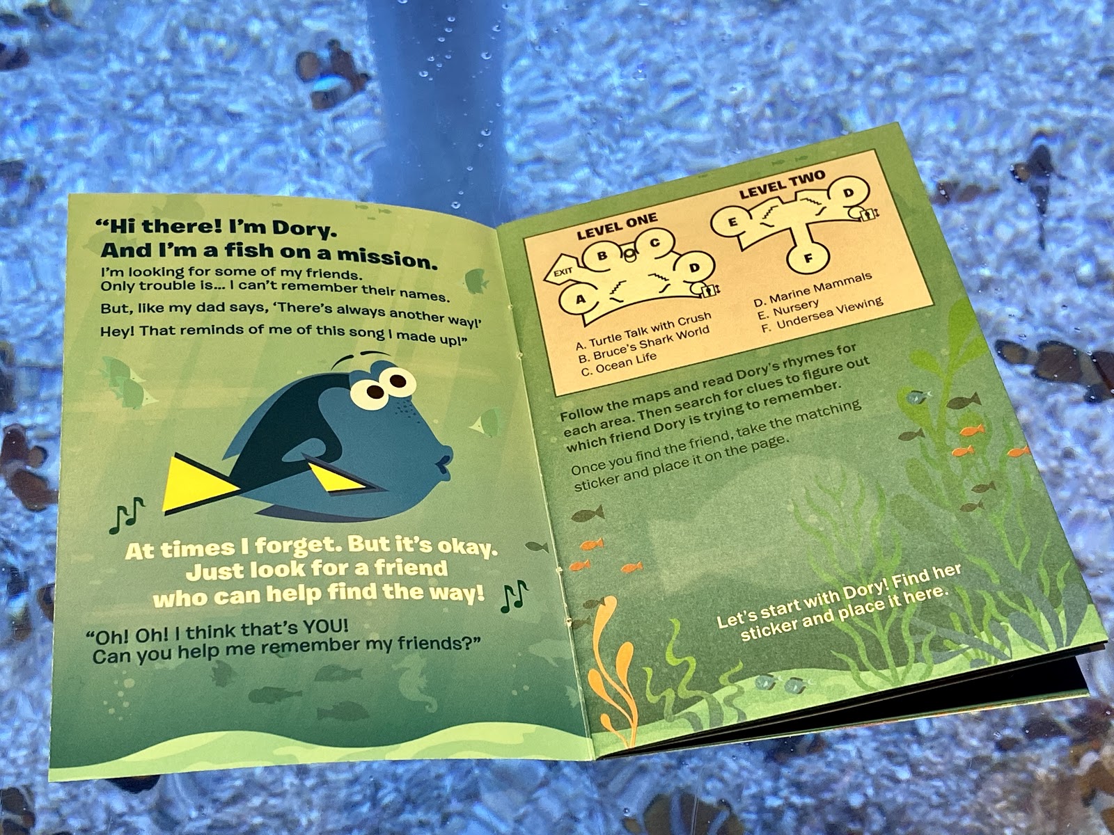 Photos - Take a Look at the New "Finding Dory's Friends" Scavenger Hunt ...