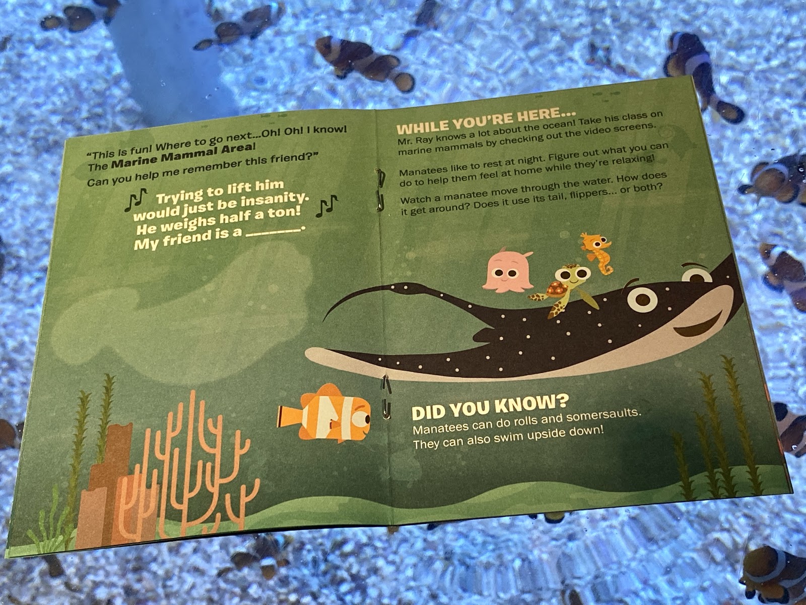 Photos - Take a Look at the New "Finding Dory's Friends" Scavenger Hunt ...