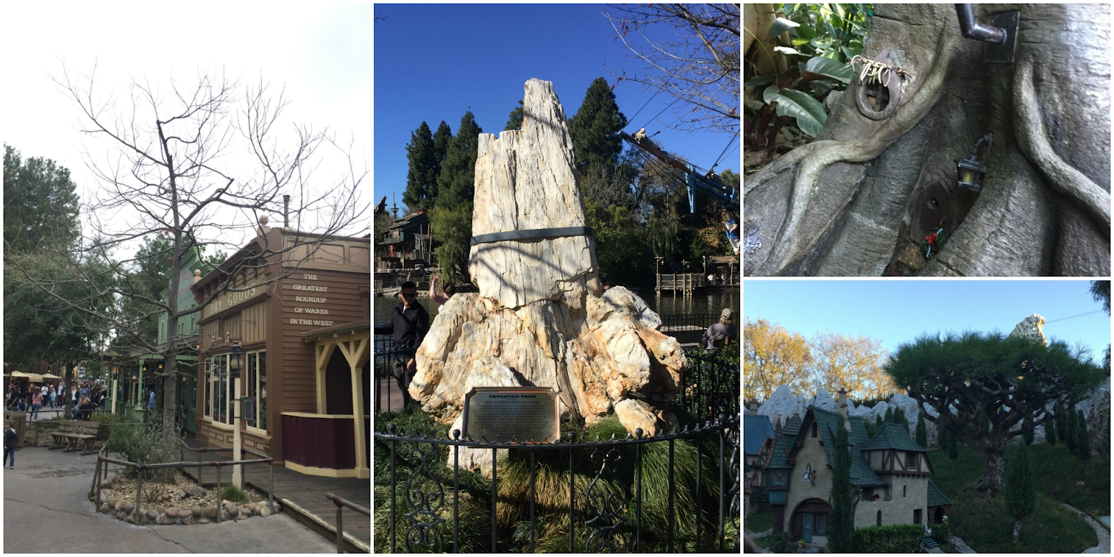 The Trees of Disneyland: The History and Storytelling of the Park's ...