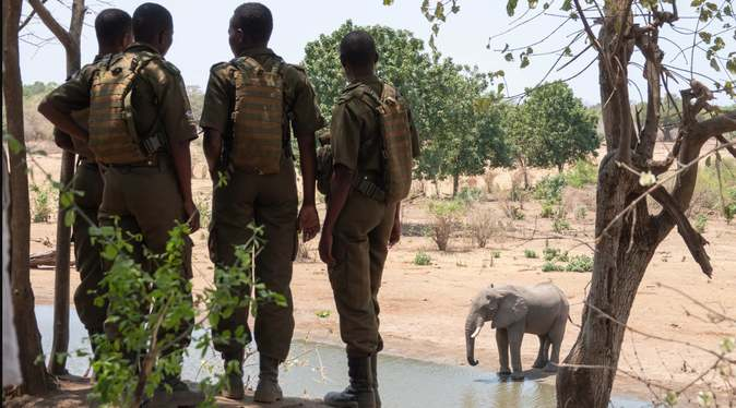 James Cameron's National Geographic Documentary Short "Akashinga: The ...