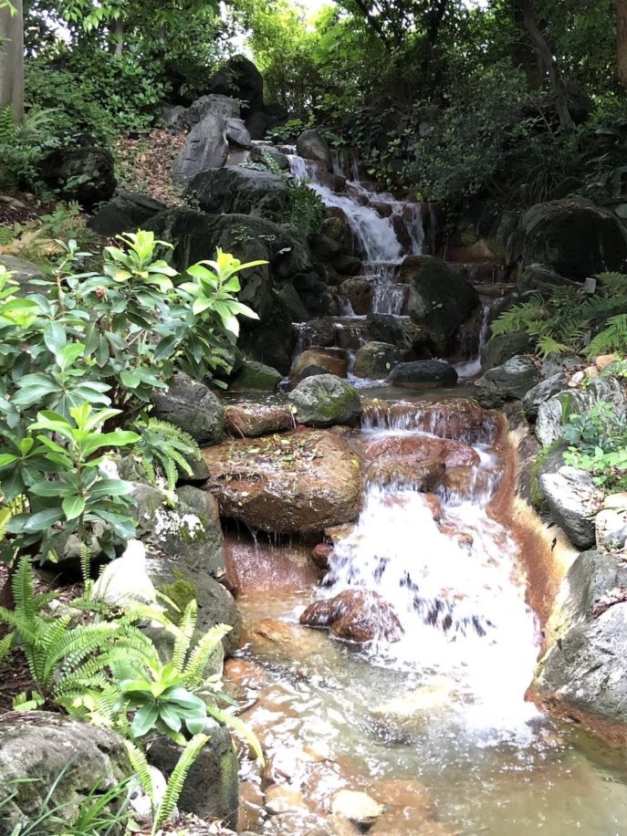 LP Pro Tip: Our Favorite Spots at Disney Parks and Resorts