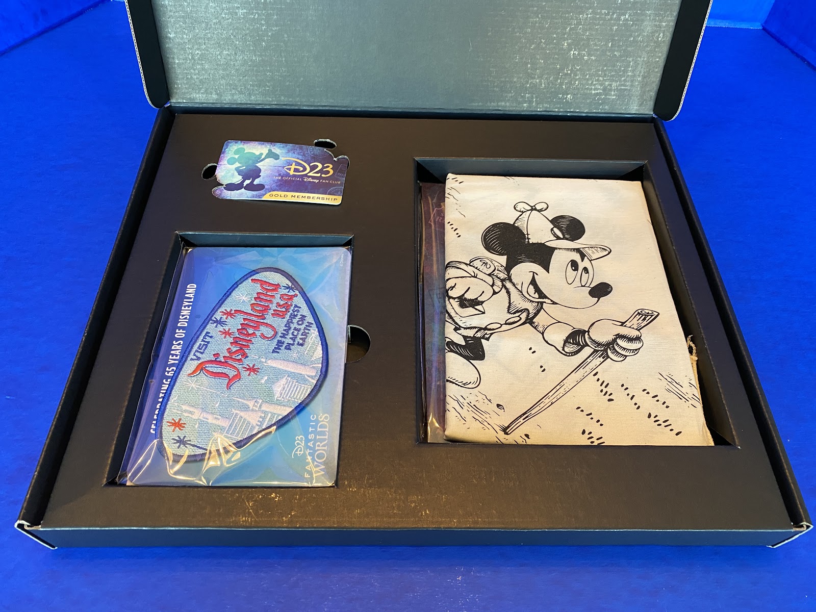 An Up-Close Look at the D23 2020 Fantastic Worlds Member Gift ...
