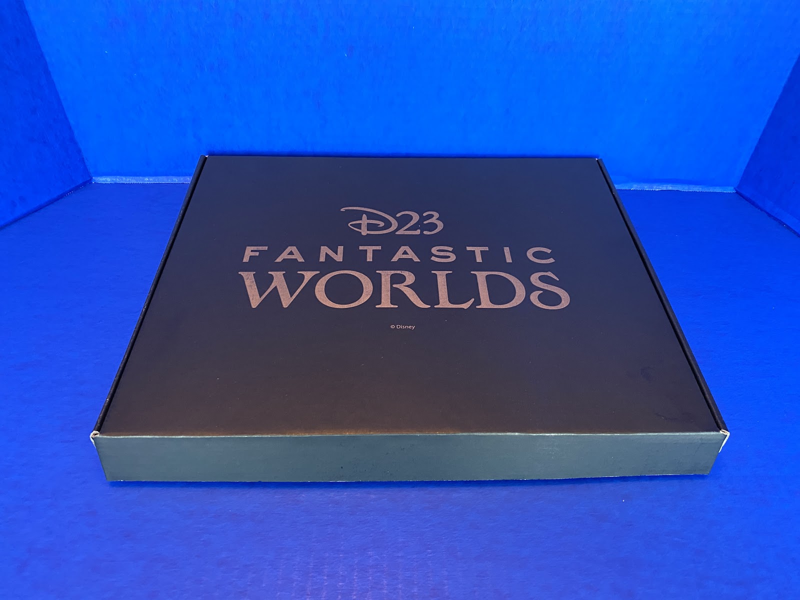 An Up-Close Look at the D23 2020 Fantastic Worlds Member Gift ...