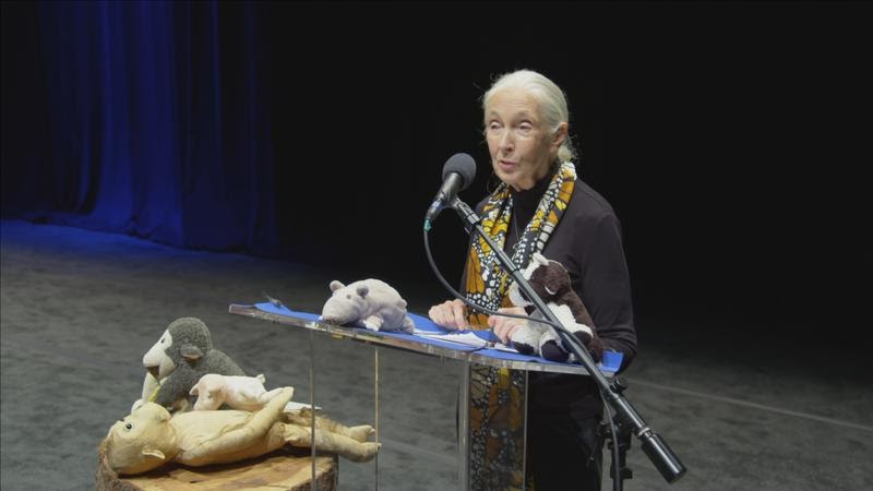 Dr. Jane Goodall's Hope for the World Amidst a Global Pandemic ...