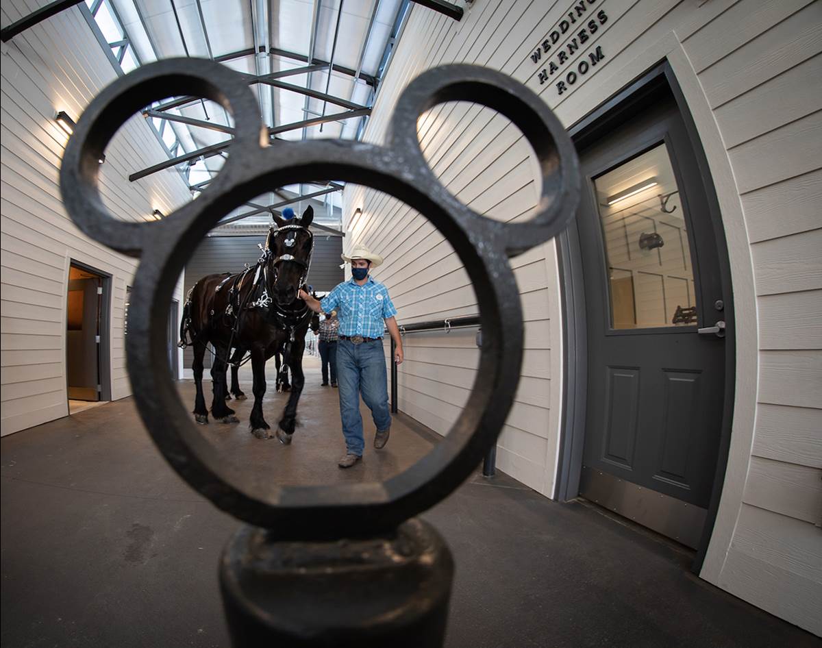 Disney World's New Tri-Circle-D Ranch Opens June 22nd With Restored ...