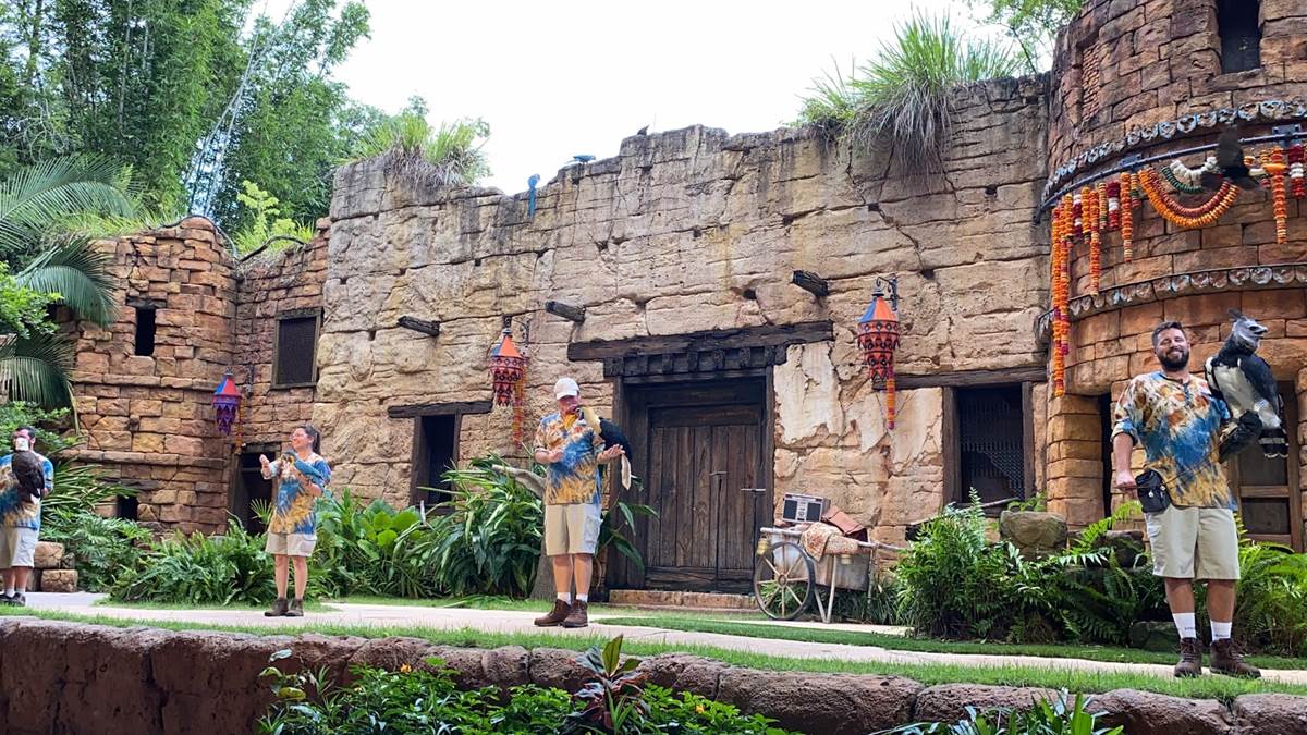 New Bird Show "Feathered Friends in Flight" Premieres at Disney's ...