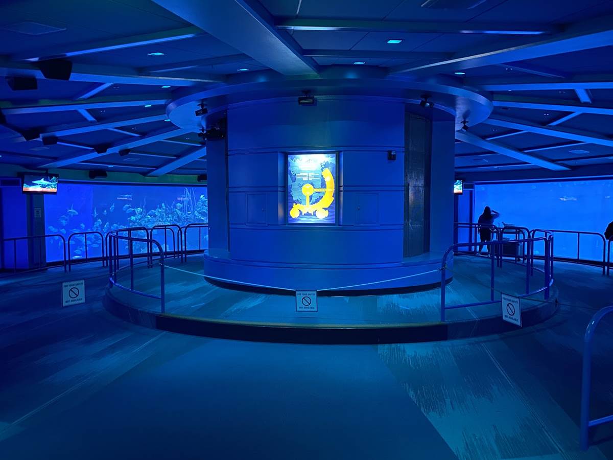 Photos - Cast Member Preview at EPCOT in Walt Disney World ...