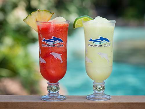 Discovery Cove Offering Limited Time Savings and Complimentary Beverage ...