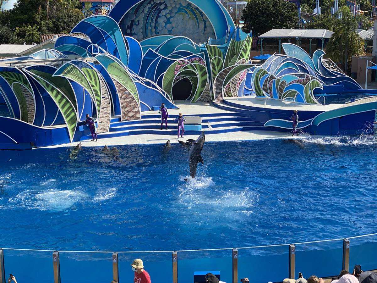 Photos/Videos: SeaWorld San Diego Reopens for Zoo Days with Bayside BBQ ...