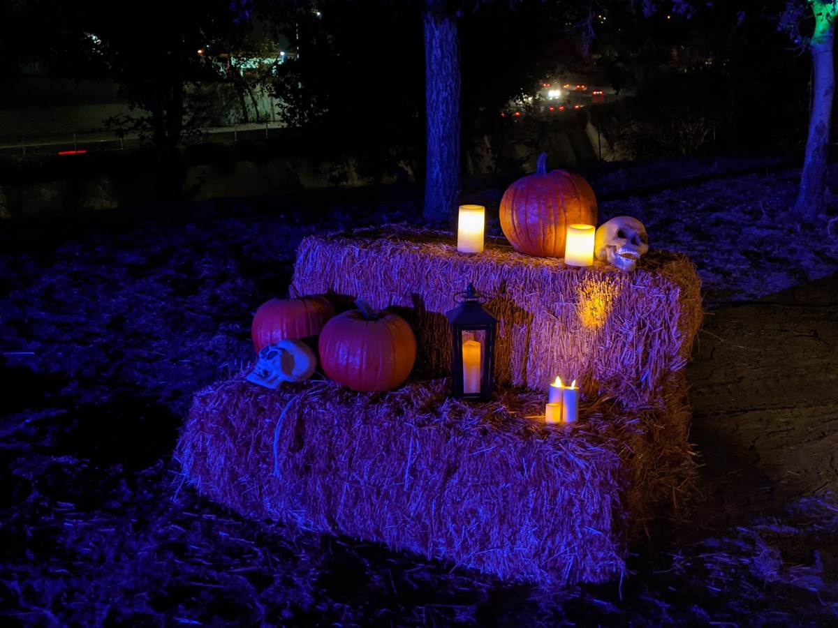 Video/Photos: Freeform Halloween Road Drive-Through Experience Opens in ...