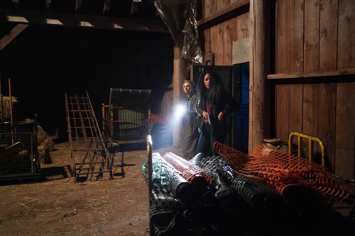 TV Recap: The First 5 Episodes of "Big Sky" Ahead of the Winter ...