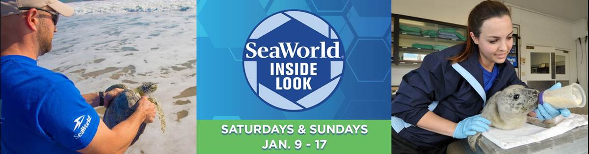 SeaWorld Orlando Offering Inside Look Program on Select Weekends in January