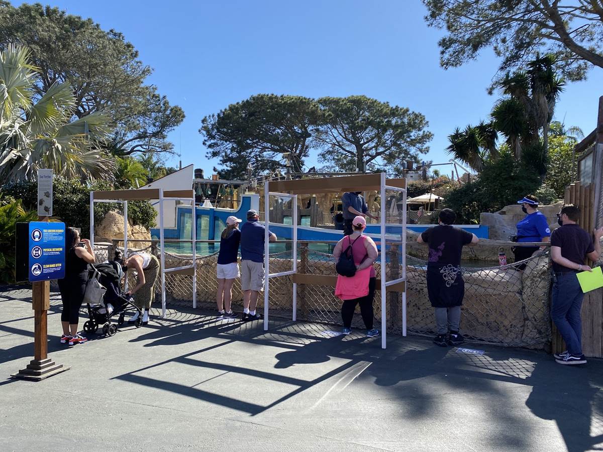 Video/Photos: SeaWorld San Diego Reopens for First Time in 2021 with ...