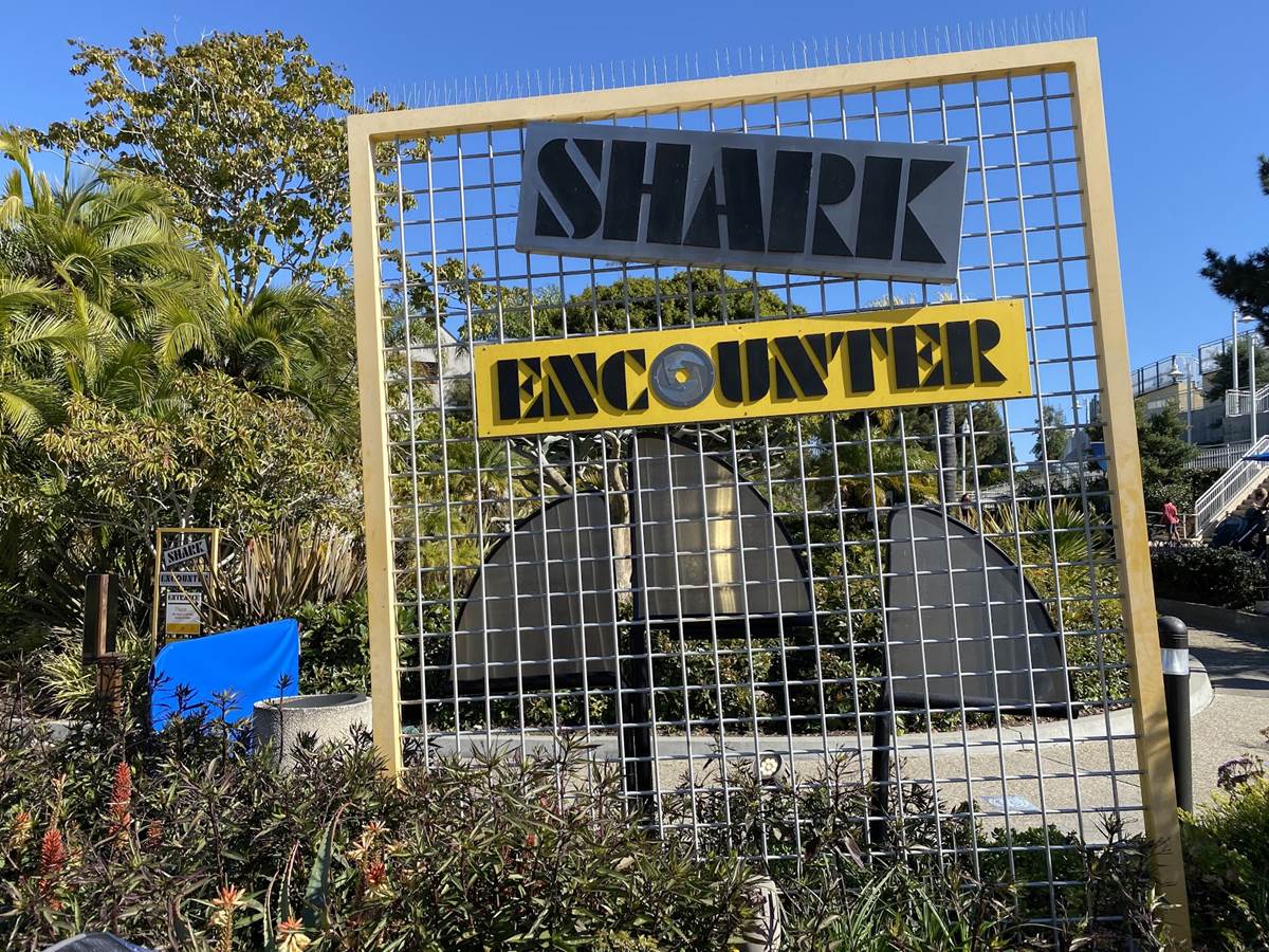 Video/Photos: SeaWorld San Diego Reopens for First Time in 2021 with ...