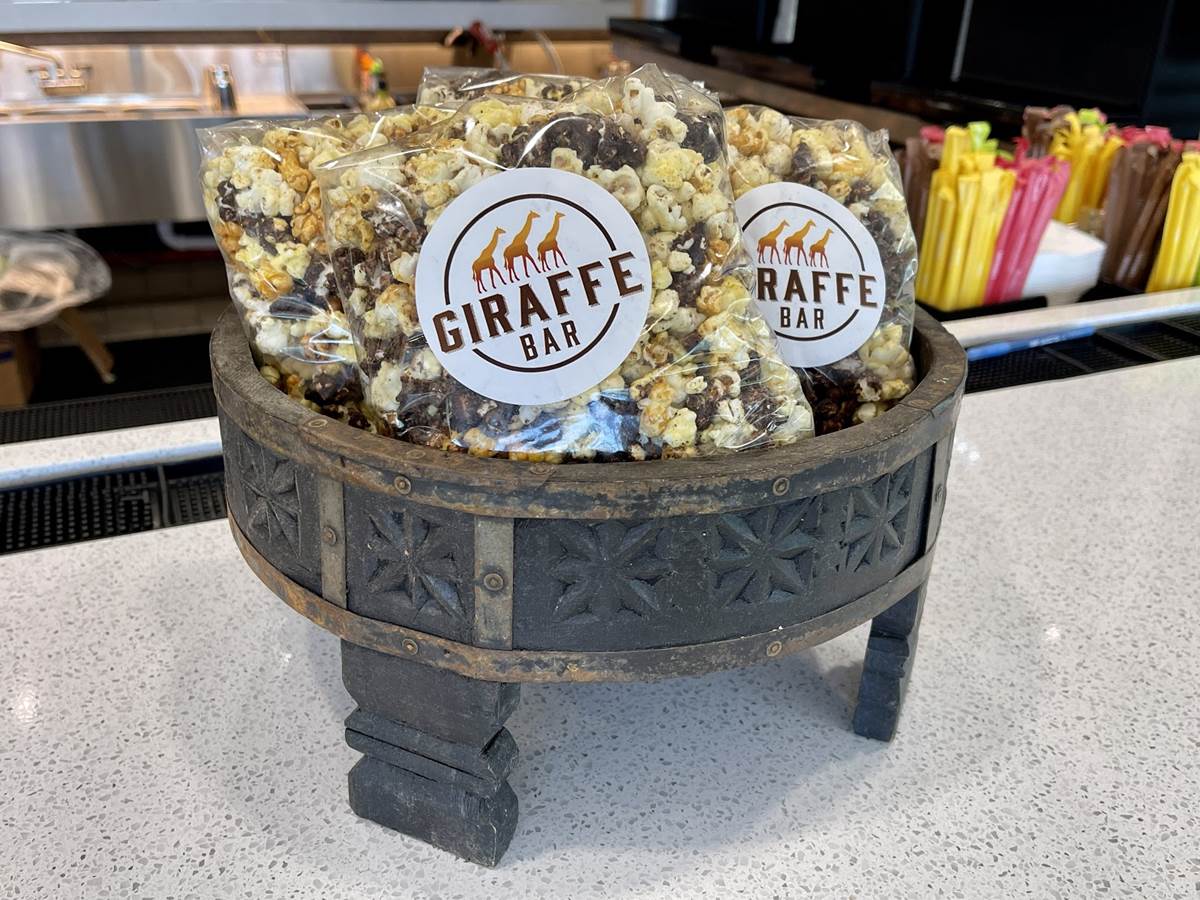 Photos - Take a Look at the New Giraffe Bar at Busch Gardens Tampa Bay ...