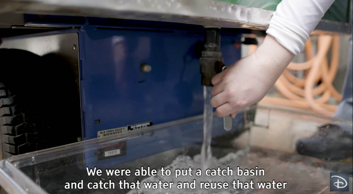 Disney Parks' "Field Notes" Takes Us to Disneyland Where Cast Members ...