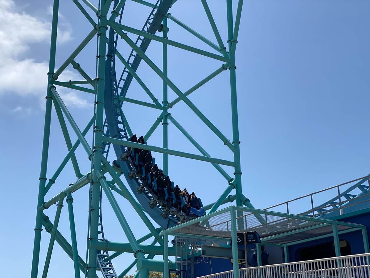 Photos: SeaWorld San Diego Reopens Indoor Exhibits and (Some) Rides as ...