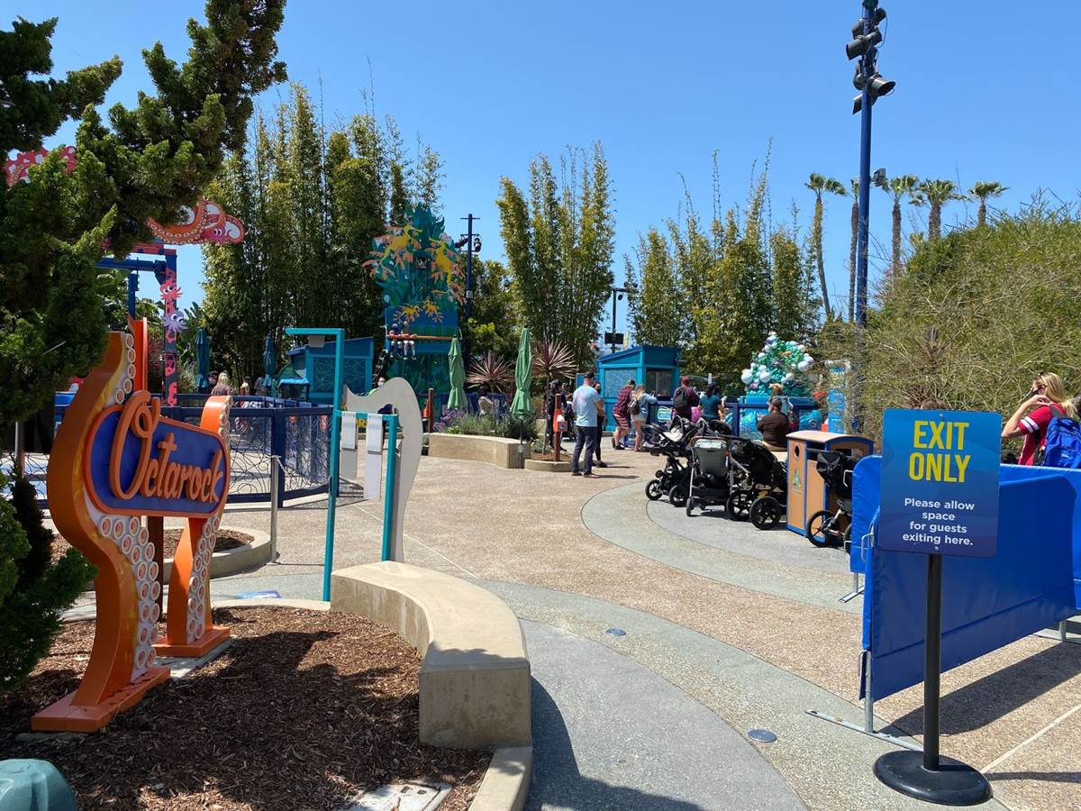 Photos: SeaWorld San Diego Reopens Indoor Exhibits and (Some) Rides as ...