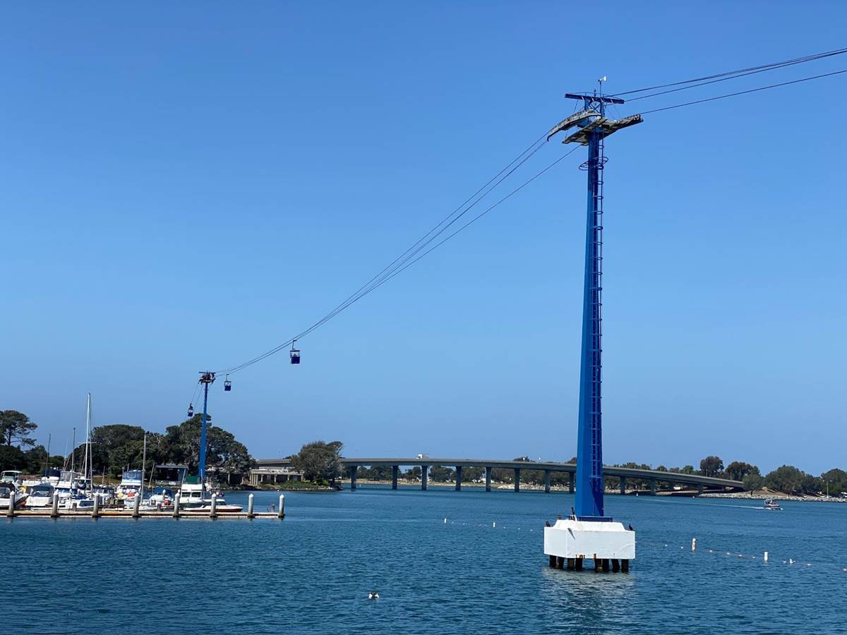 Photos: SeaWorld San Diego Reopens Indoor Exhibits and (Some) Rides as ...