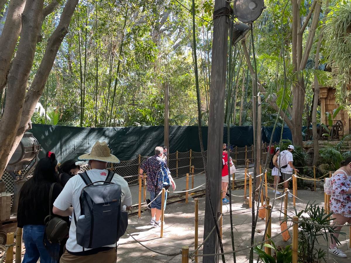 Photos - Indiana Jones Adventure Queue Uses Jungle Cruise for ...