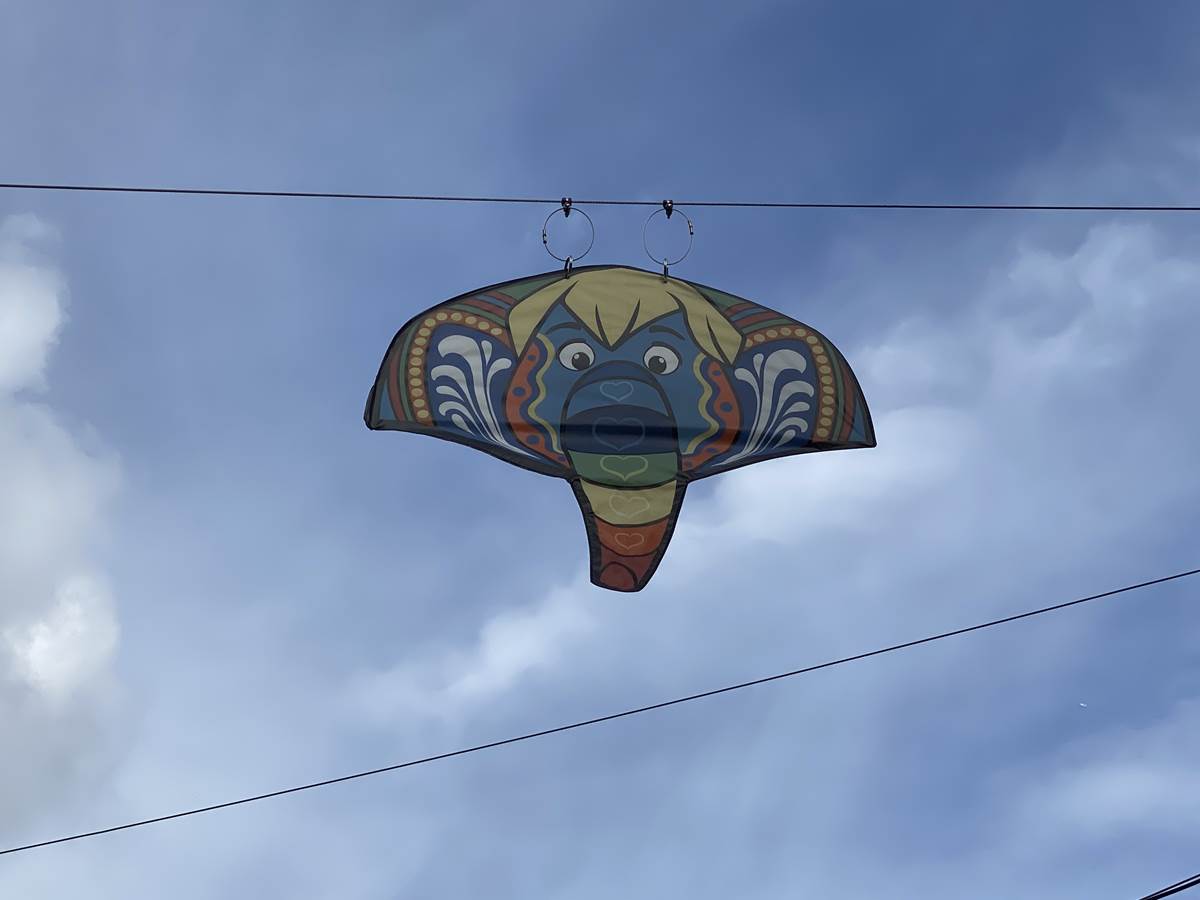 Character Kites and Banners Appear in Discovery River Theater Ahead of ...