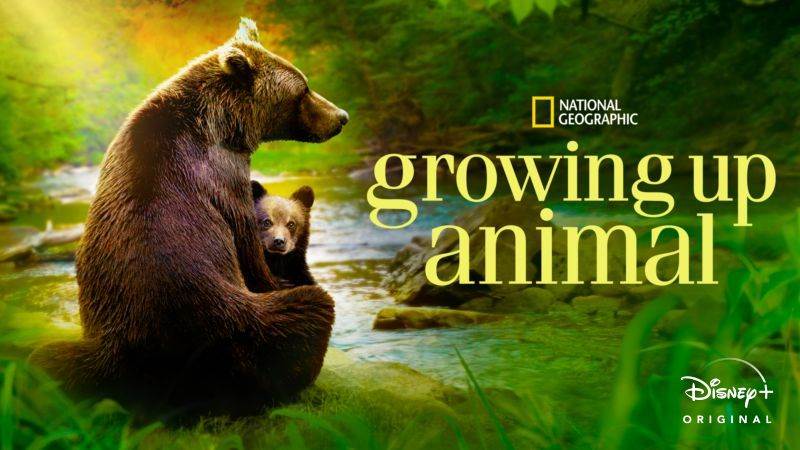 Disney+ Watch Guide: September 1st-7th - LaughingPlace.com