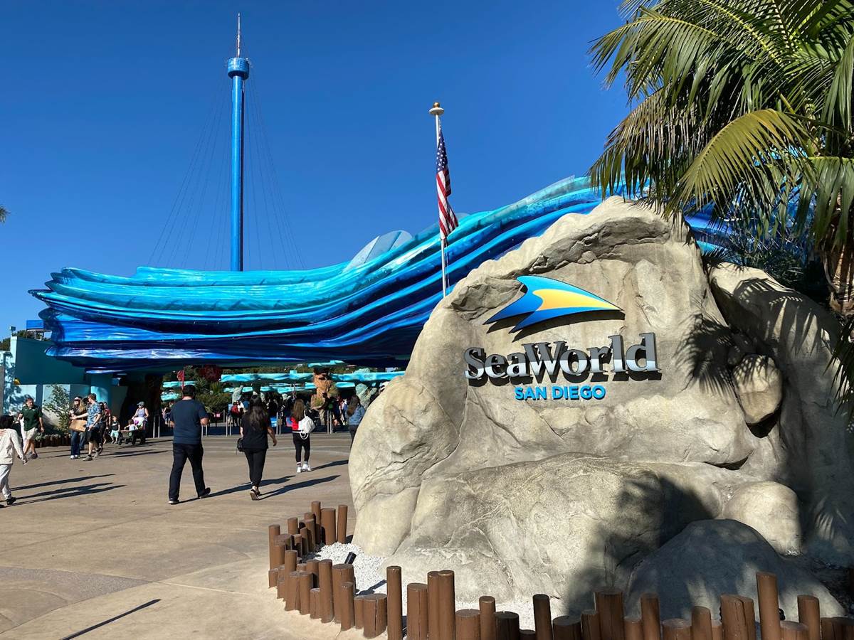 Photos: Christmas Celebration Returns to SeaWorld San Diego with ...