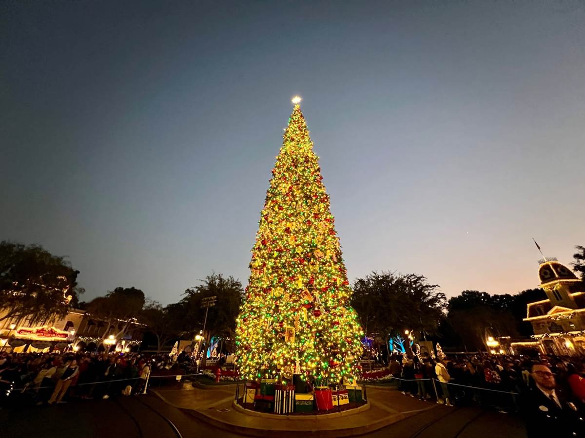 The Christmas Trees of the Disneyland Resort - LaughingPlace.com