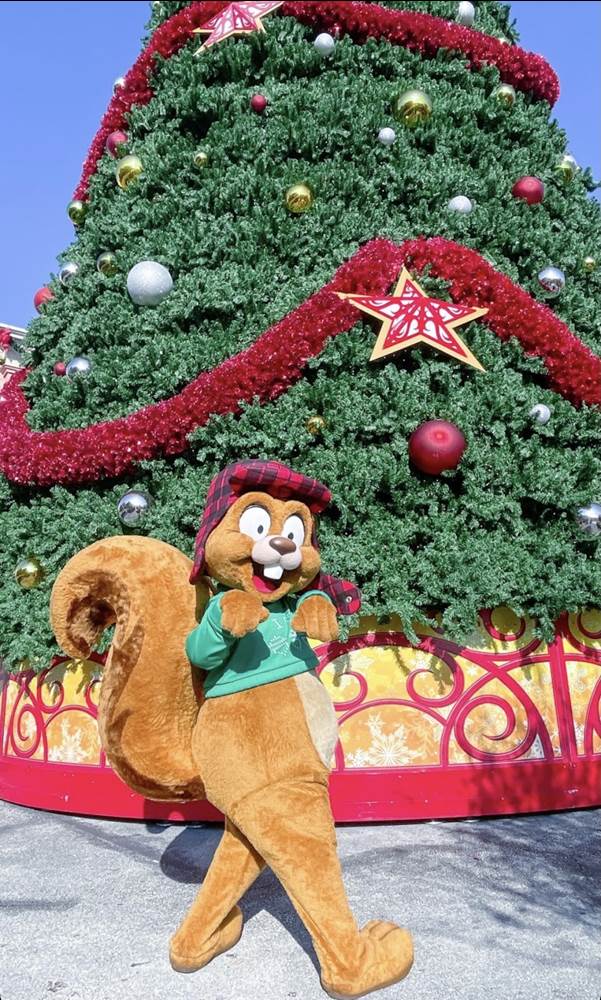 Universal Orlando To Debut Earl The Squirrel Meet and Greet on December ...