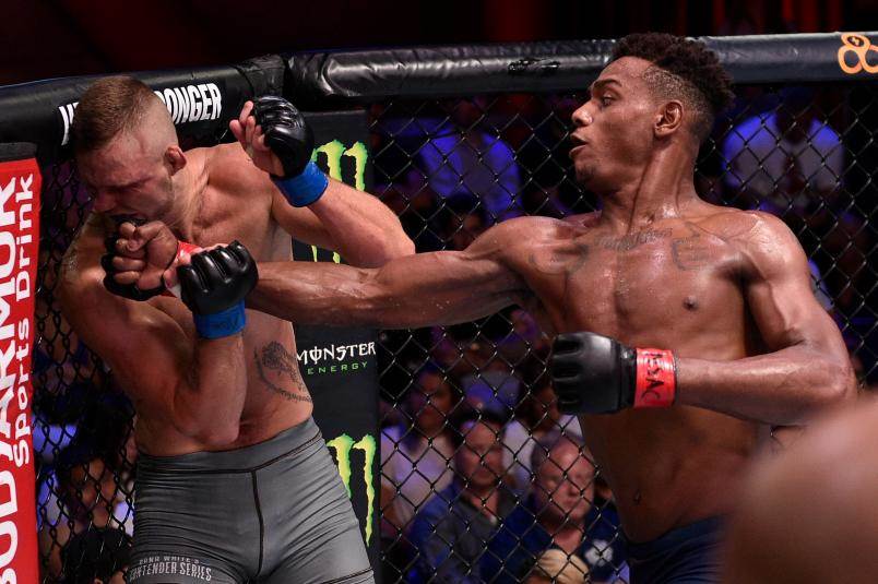 Preview - Light Heavyweight Contenders Clash at UFC Fight Night: Walker ...