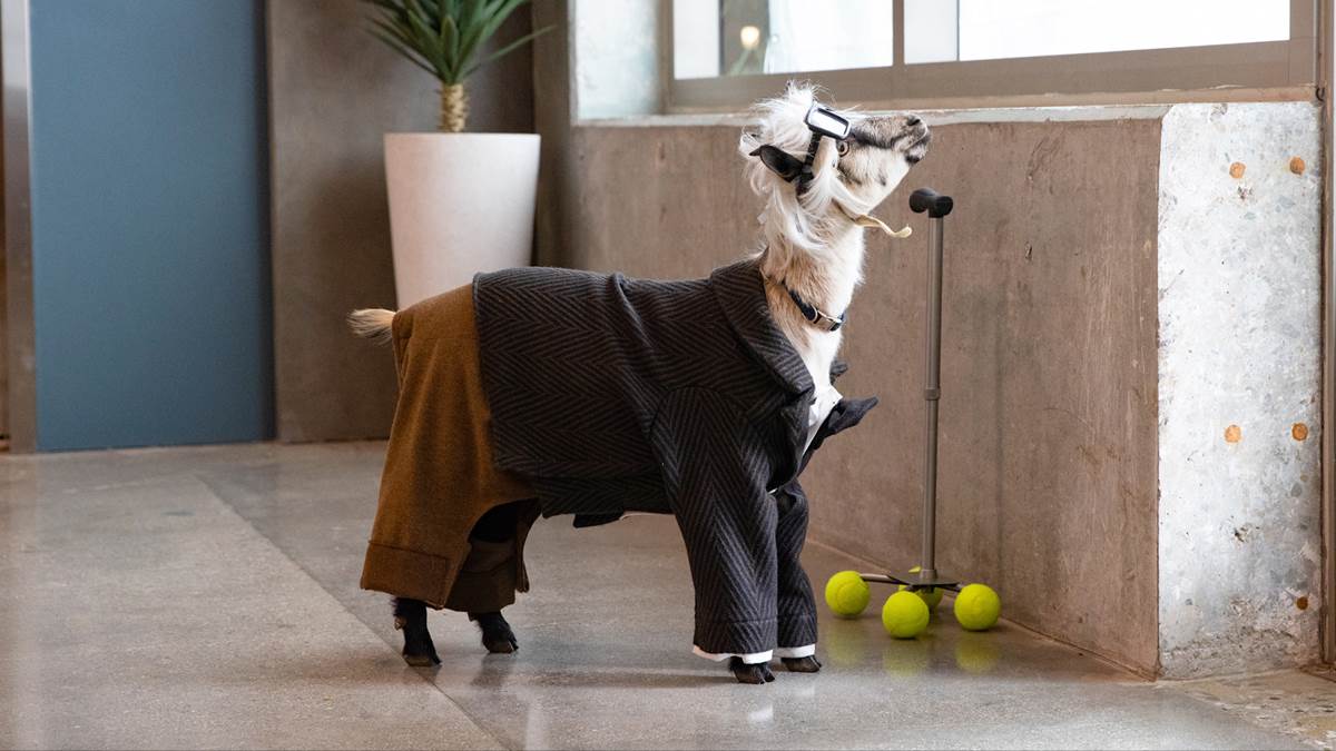 The GOATS of Disney+ - LaughingPlace.com