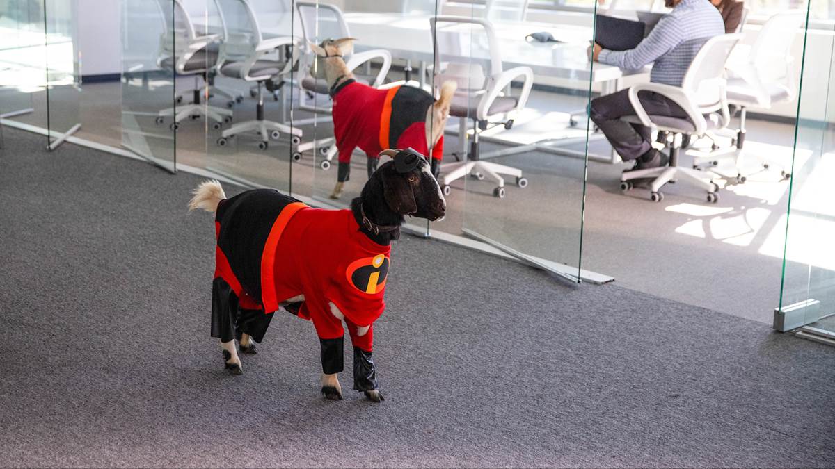 The GOATS of Disney+ - LaughingPlace.com