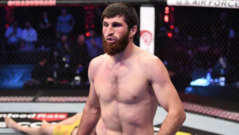 Preview - Light Heavyweight Contenders Meet at UFC Fight Night: Santos ...