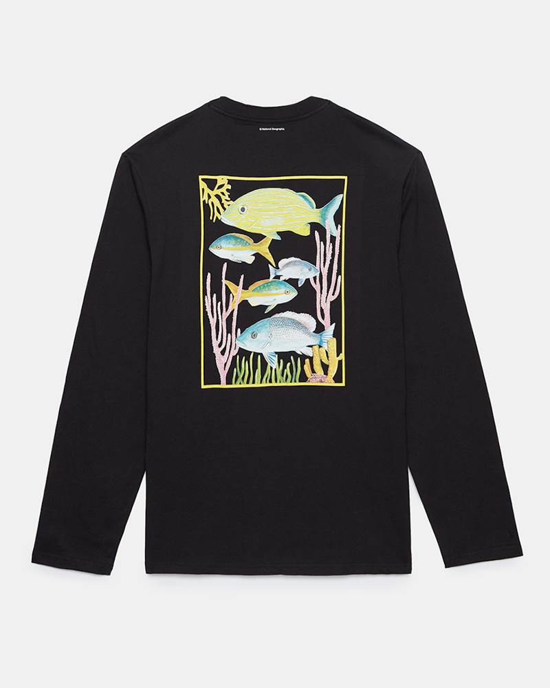 Celebrate Earth Day 2022 With National Geographic Merchandise to ...