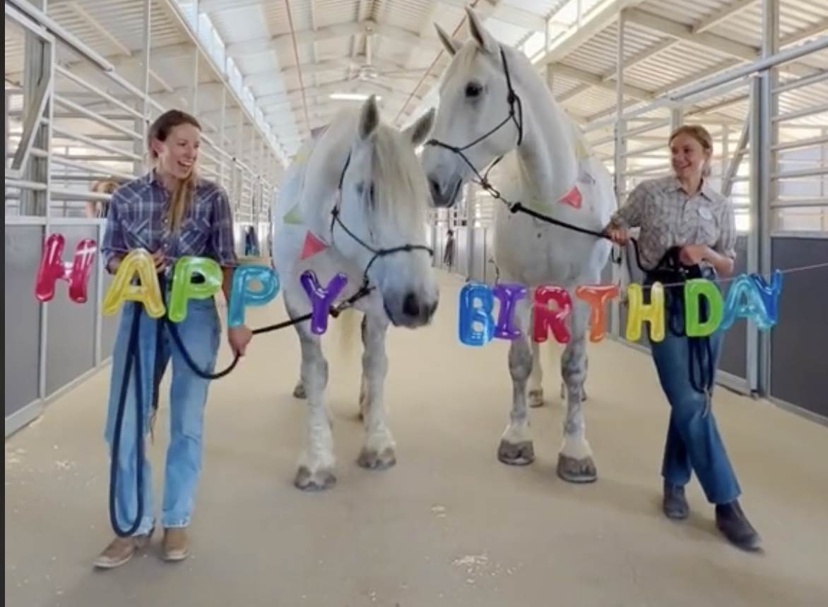 How Birthdays are Celebrated at Circle D Ranch