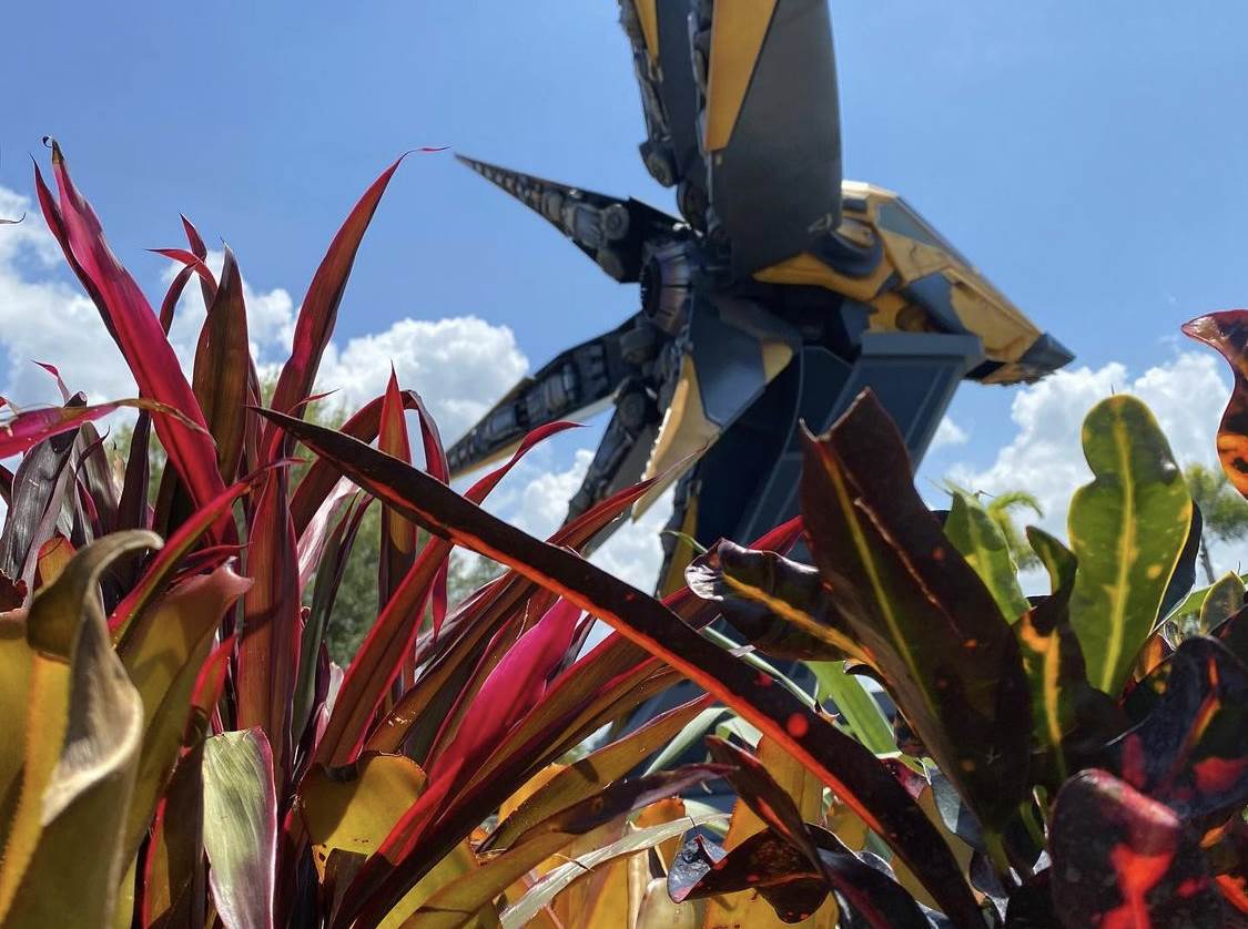 Journey into the Wonders of Xandar Through New Pictures from Walt ...