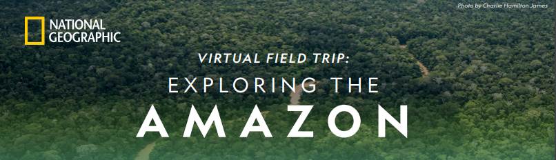 Virtual Field Trip Forest