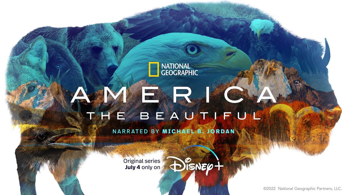 "America The Beautiful" Shows The True Diversity of The Natural World ...