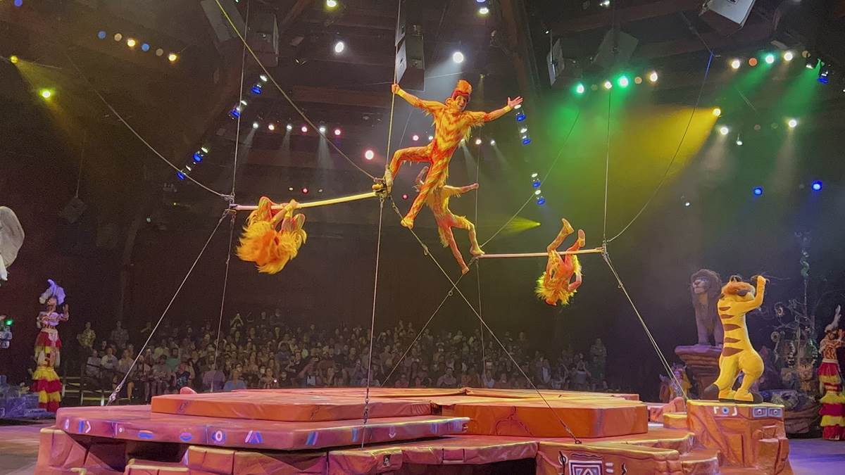Photos/Video: Festival of the Lion King Full Show Returns, Complete ...